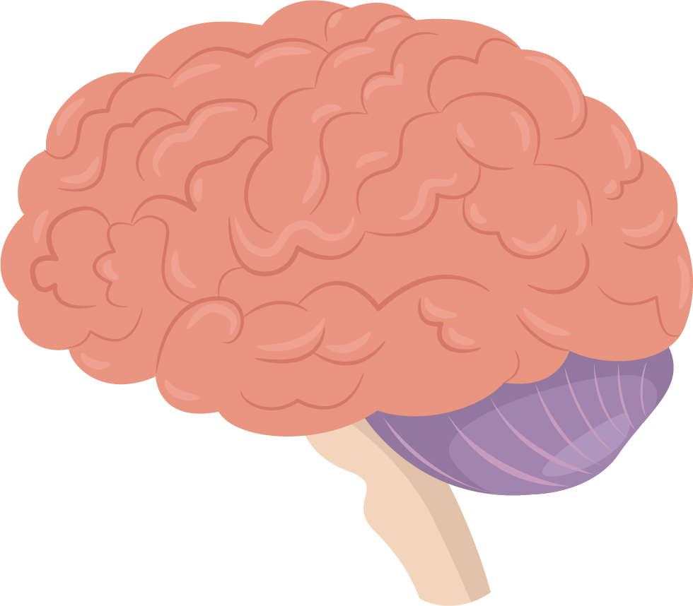 free brain viscera medicine elements org... | Magipik Free Vector