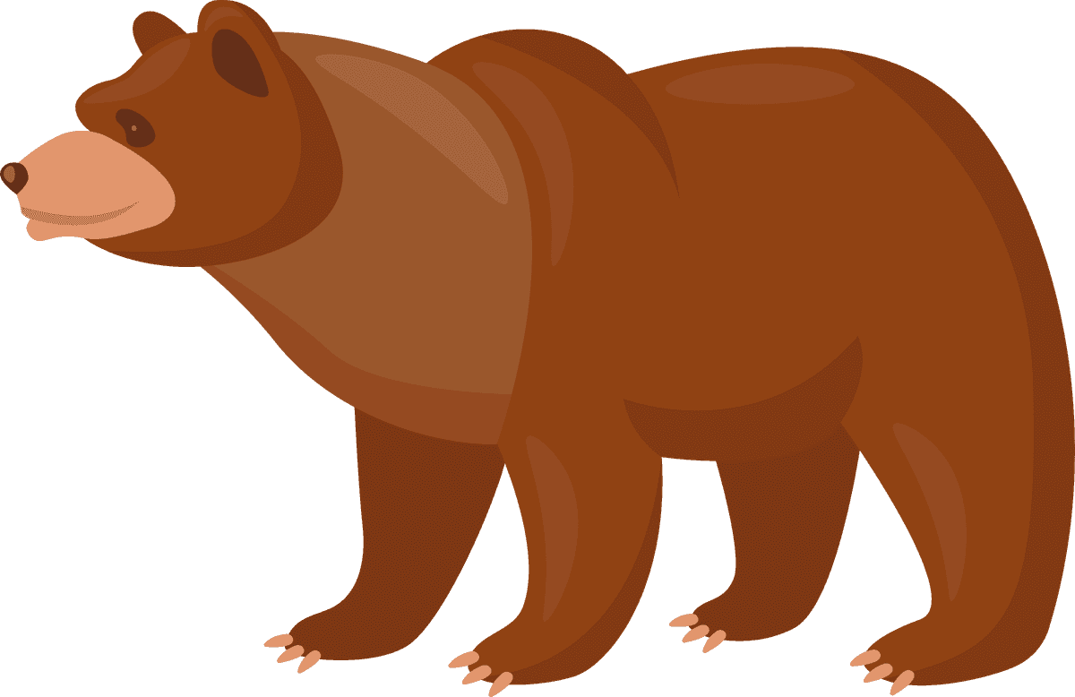 brown bear brown bears set for educational projects and wildlife ...