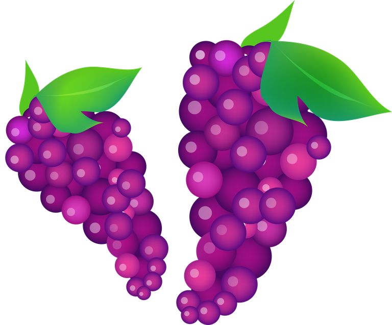 free bunch of grapes fruit of grapes vector 522662