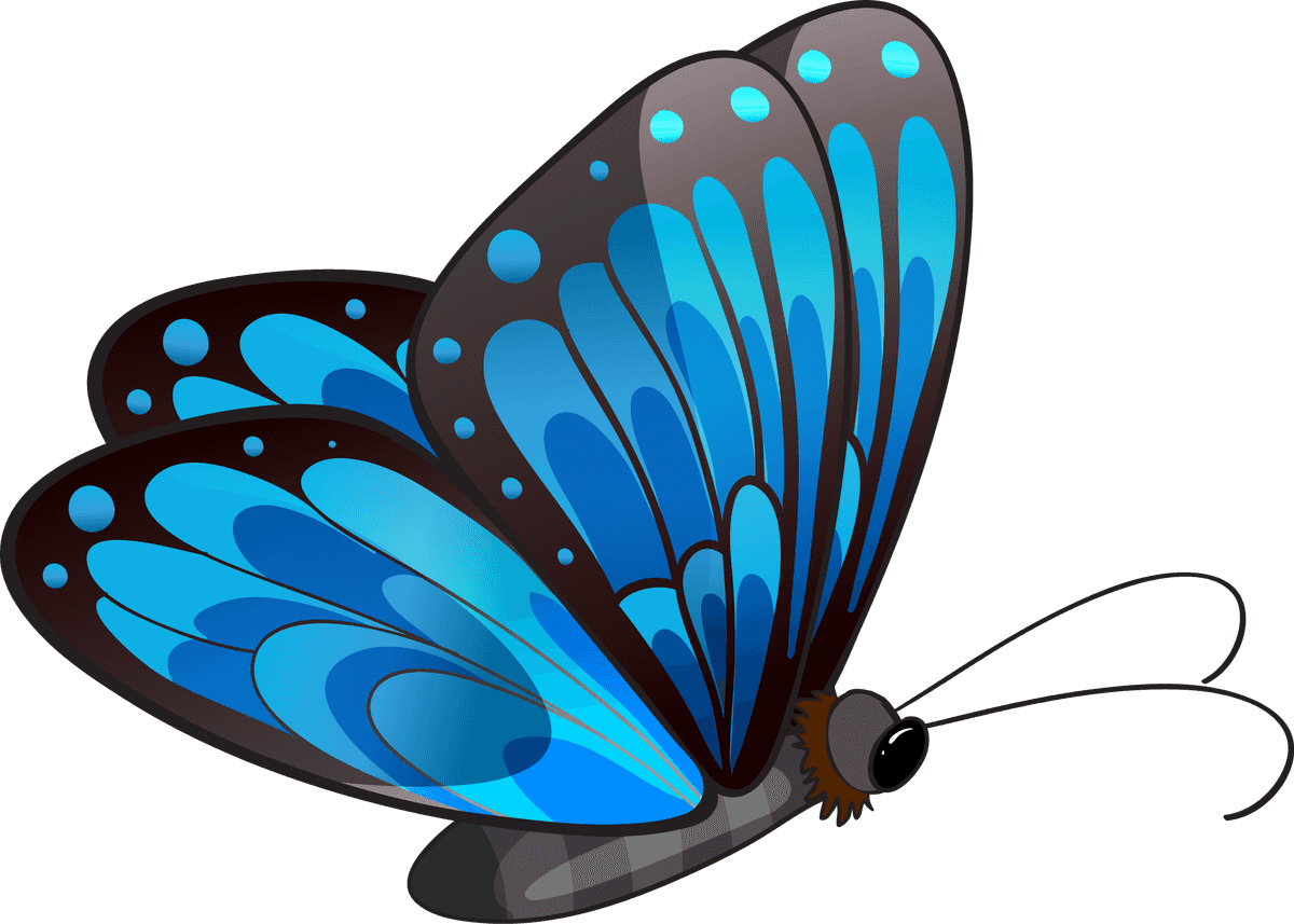 free butterfly four butterflies on a whi... | Magipik Free Vector