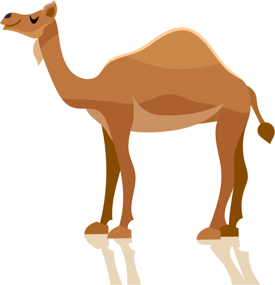 camel arabic culture poster showcasing vibrant elements of traditional ...