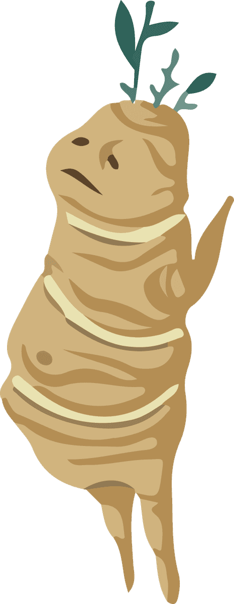 free cartoon characters ginseng funny ve... | Magipik Free Vector
