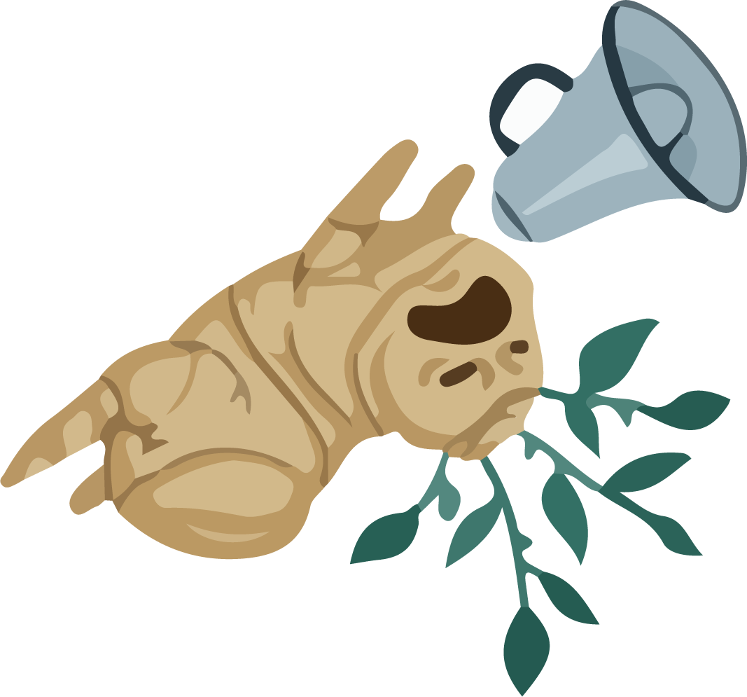funny cartoon characters ginseng root with a megaphone for quirky ...