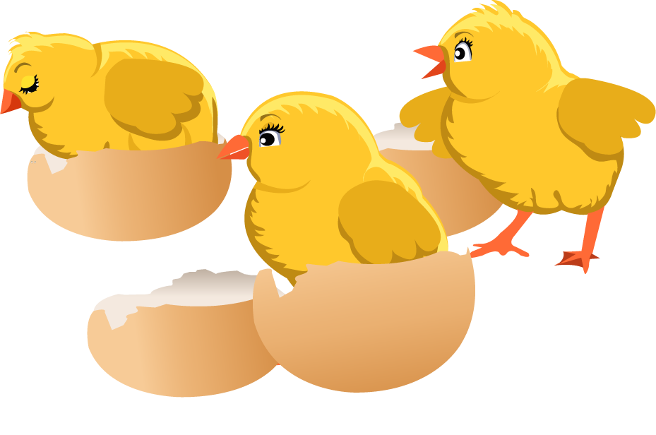 chicks hatch insect cute cartoon for pla... | Magipik Free Vector
