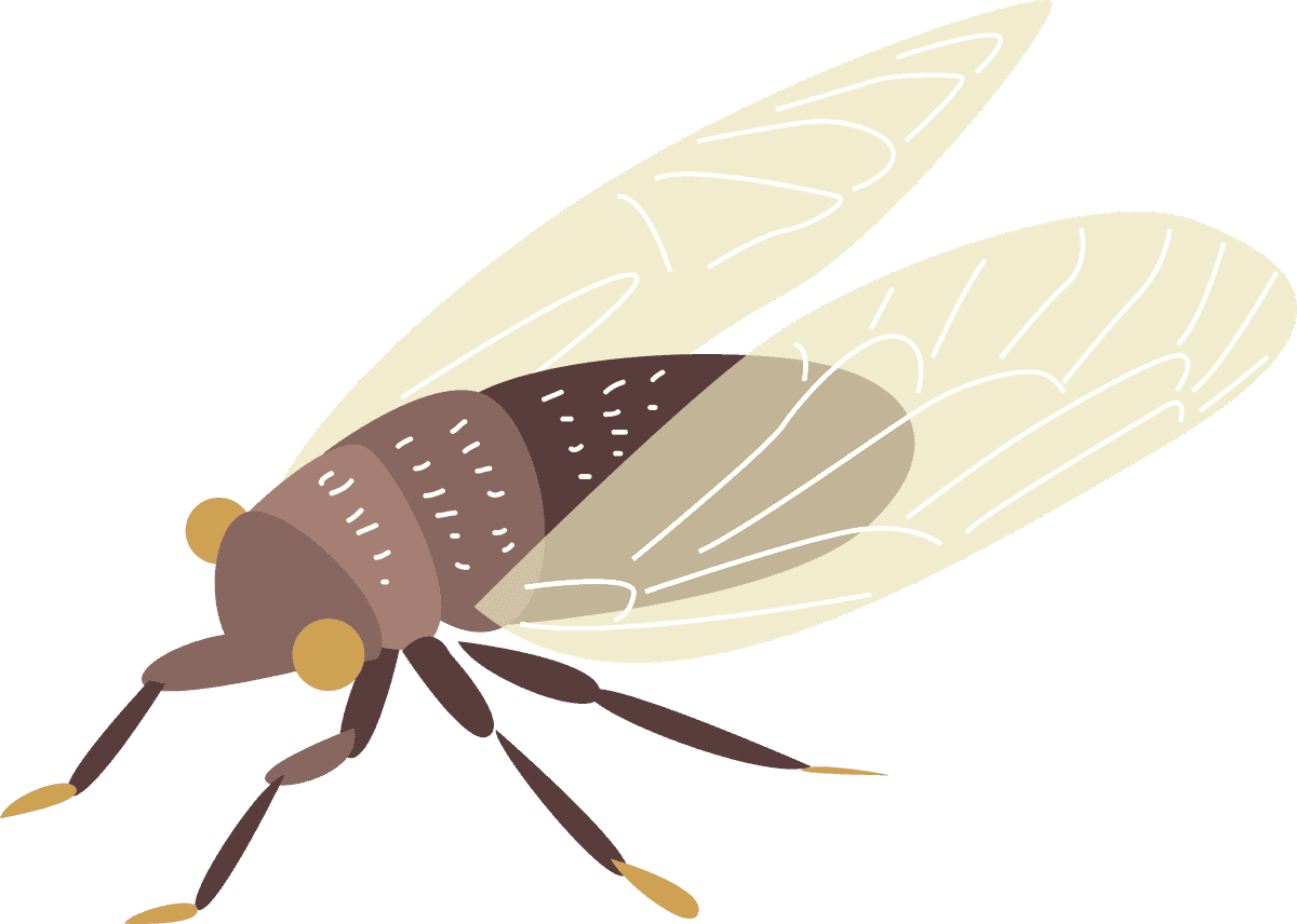cicadas cicada insect flat illustration ... | Magipik Free Vector