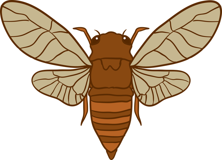 free cicadas included in this set are cicada vector 829420