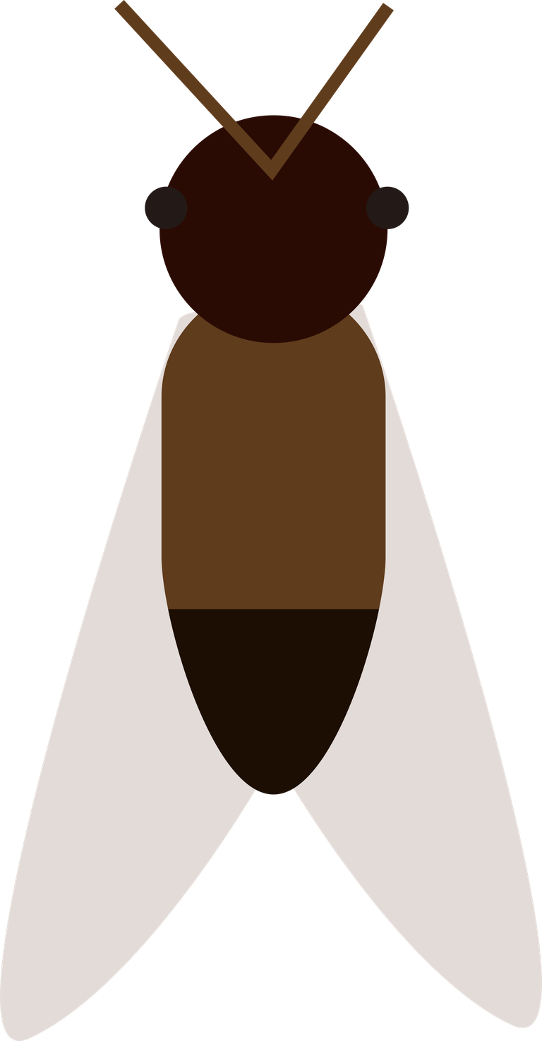 free cicadas set of free insect icons fl... | Magipik Free Vector