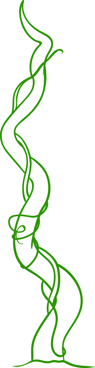 free collection of hand drawing beanstalk vector 374688