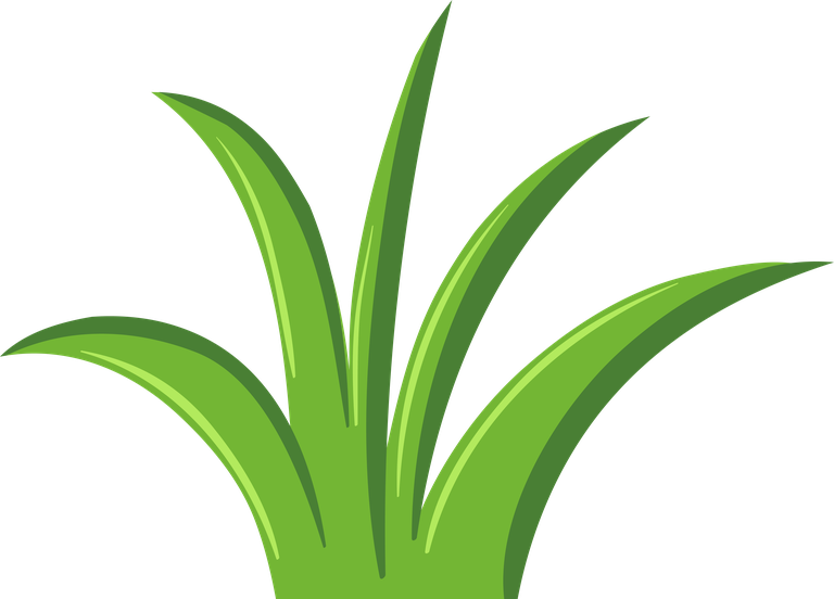 Different Small Grass Element