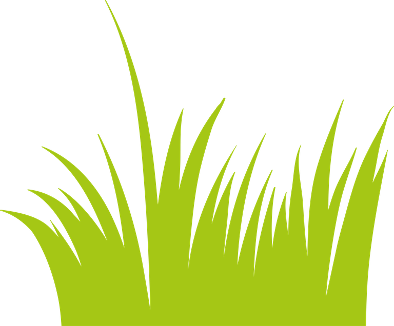 Free Different Doodles Grass Vector 4133 Magipik Free Vector