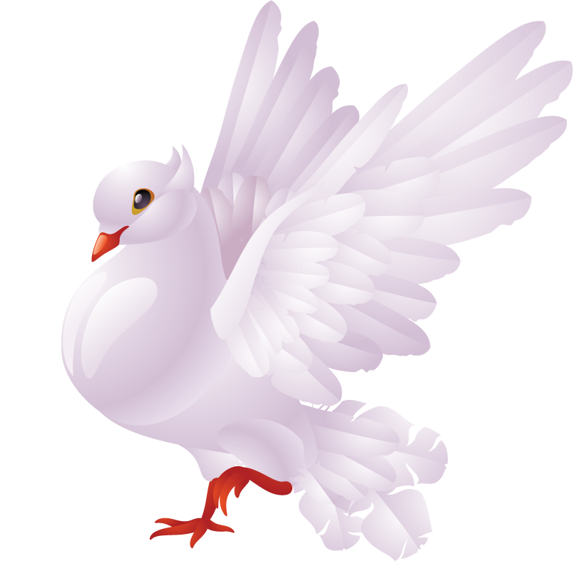 dove roses and pigeons illustration for ... | Magipik Free Vector