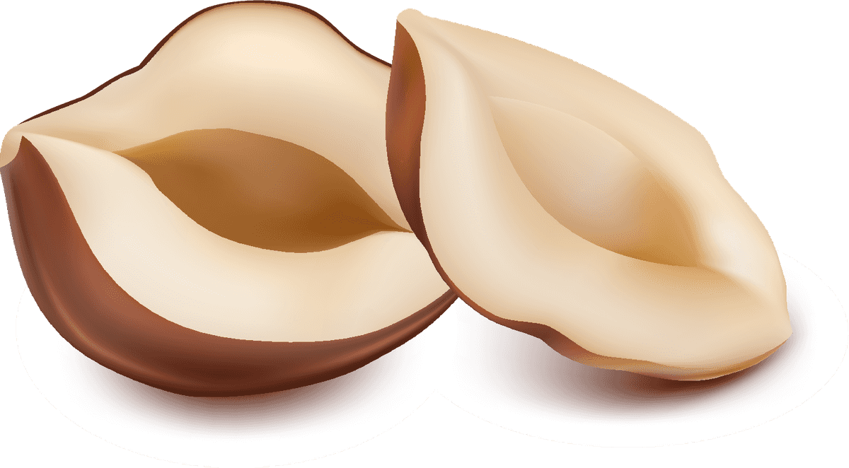 free dry seed chocolate candy vectors 65... | Magipik Free Vector