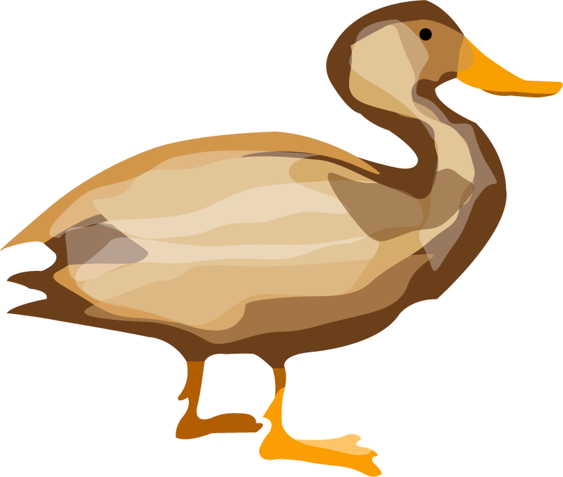 free duck farming animals illustration with vector 648110