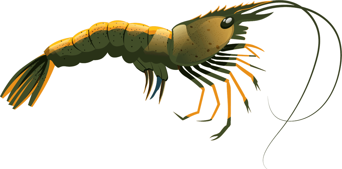 free egg shrimp shrimp icons collection vector 258344