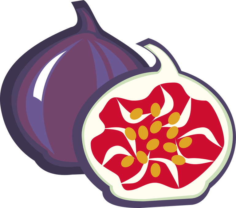 free figs realistic grapes and wine vect... | Magipik Free Vector