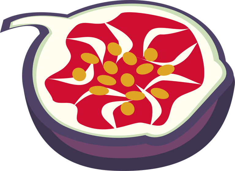 free figs realistic grapes and wine vector 77803