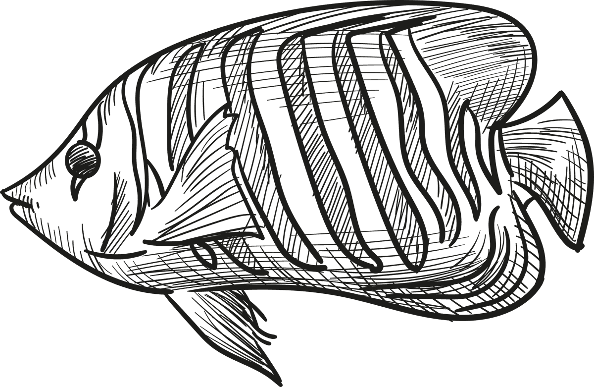 free fish hand drawing nautical elements vector 828256