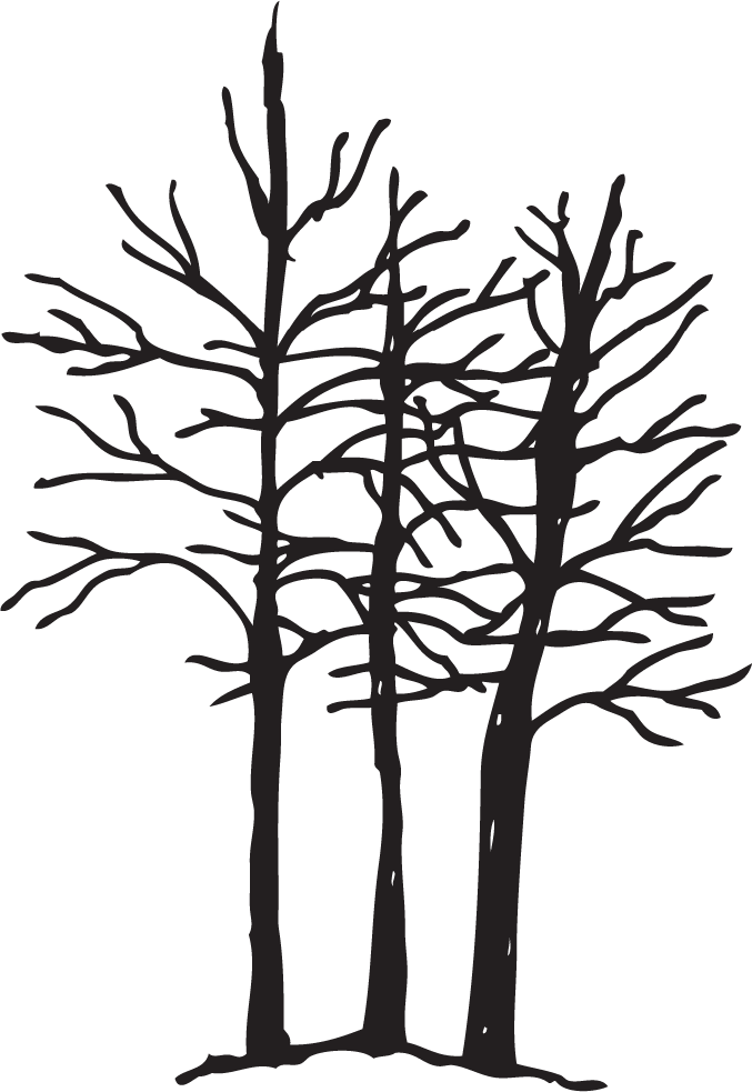 free handdrawn icons ribbon mount tree arrow vector 382637