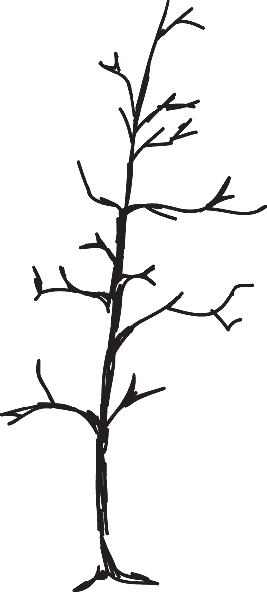 free handdrawn icons ribbon mount tree arrow vector 64407