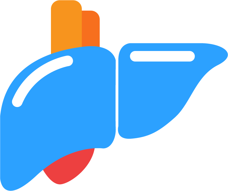 free liver medical icons colorful flat v... | Magipik Free Vector