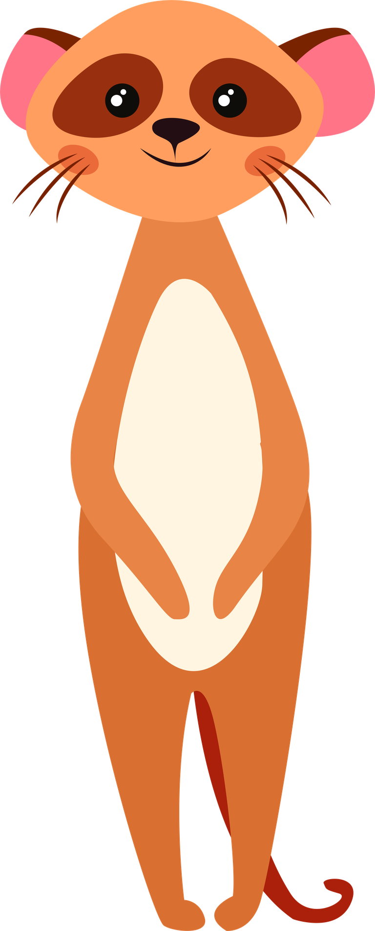 free meerkat animals species icons colored cartoon vector undefined