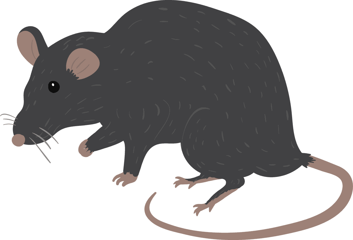mouse collection different mice breeds w... | Magipik Free Vector