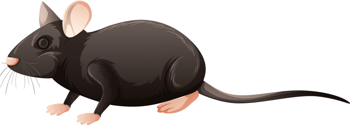 free mouse different wild animals cartoo... | Magipik Free Vector