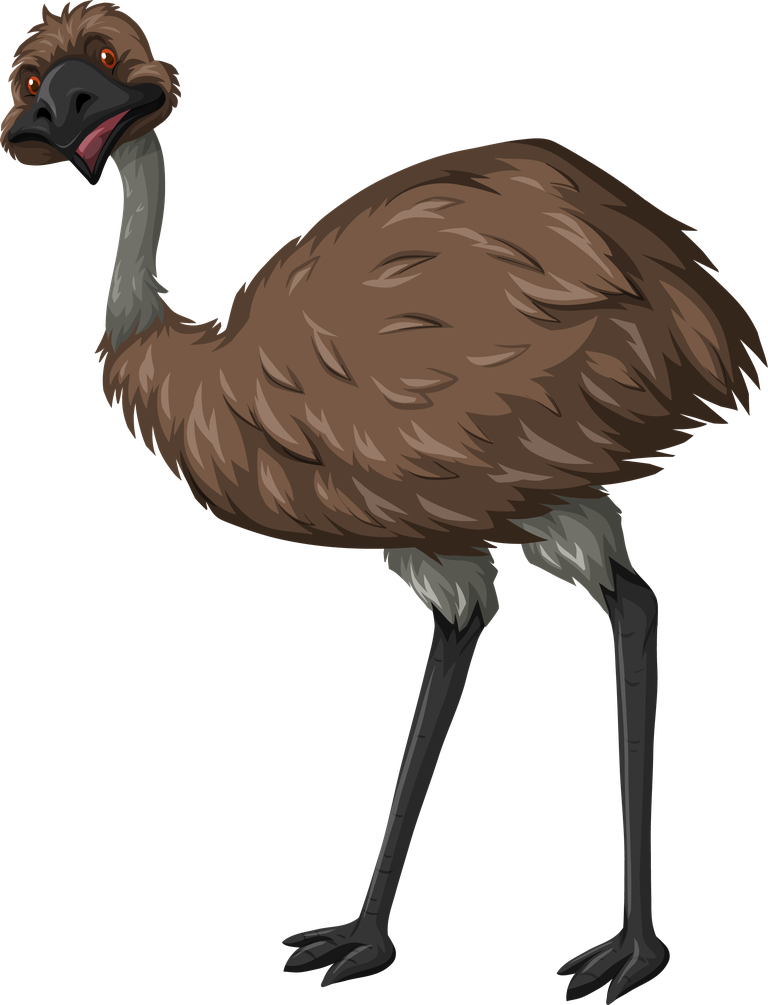 free ostrich different types of wild ani... | Magipik Free Vector