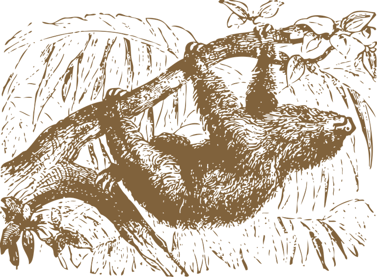 free pencil drawing animals illustrations for vector 298055