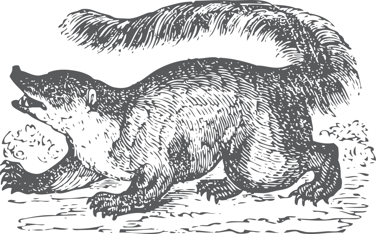 free pencil drawing animals illustrations for vector 502474