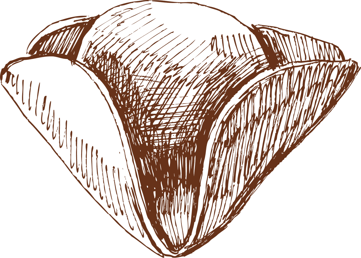 free pirate hat pirate skull line art vector 54078