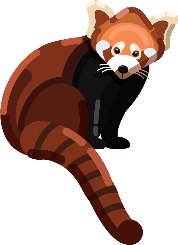 free ratel wild animal icons bear koala ... | Magipik Free Vector