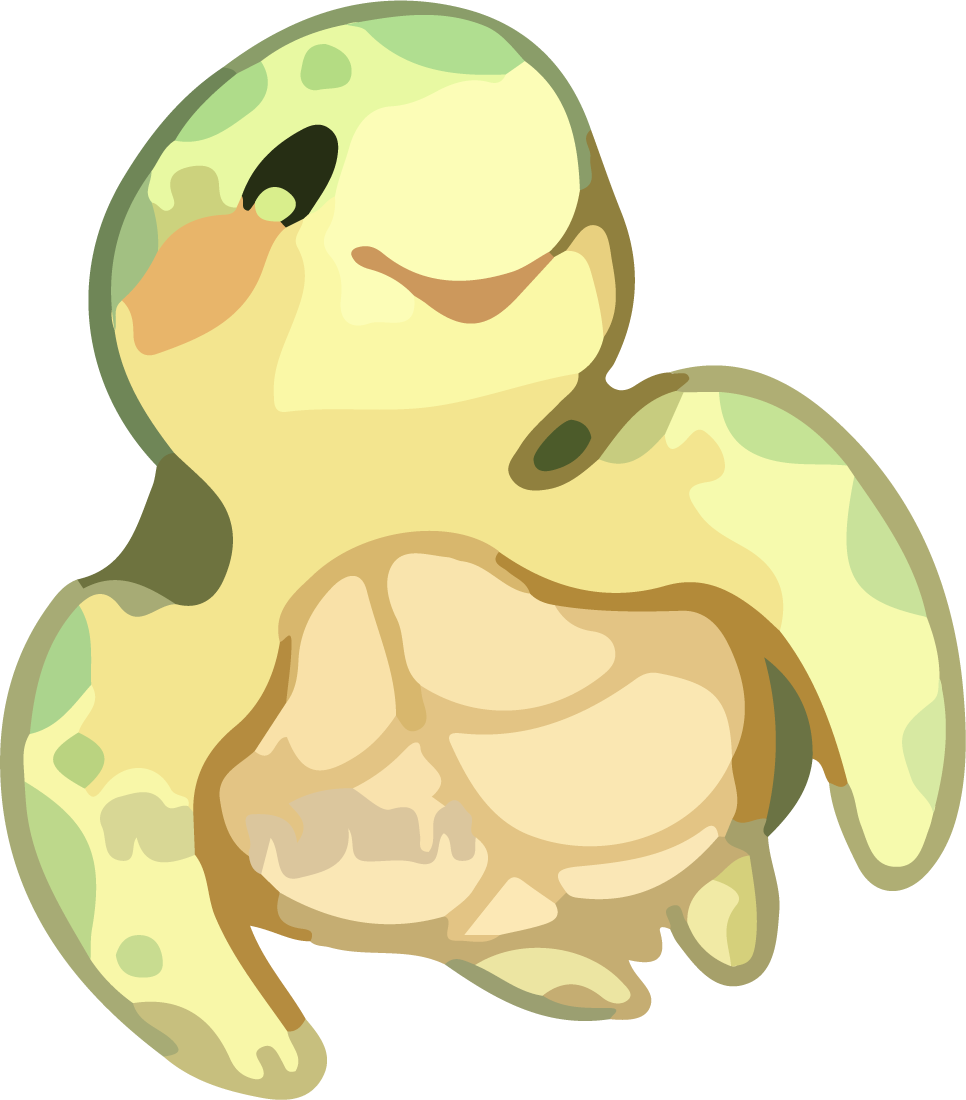 free sea animals cartoon baby beautiful ... | Magipik Free Vector