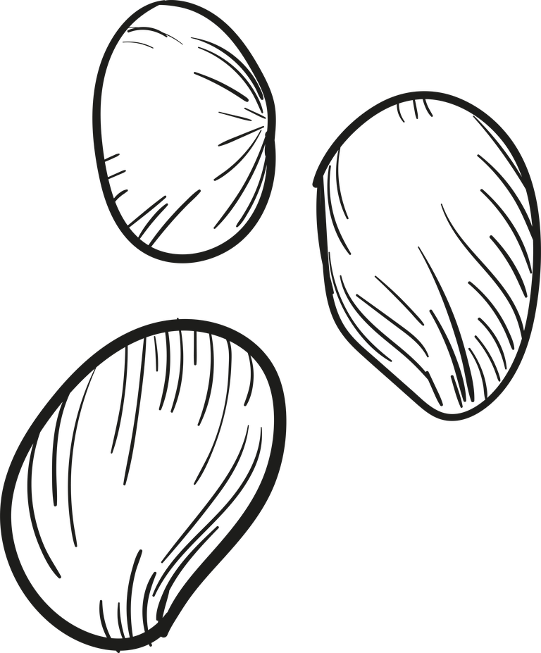 free sea snails hand drawing nautical vector 142742