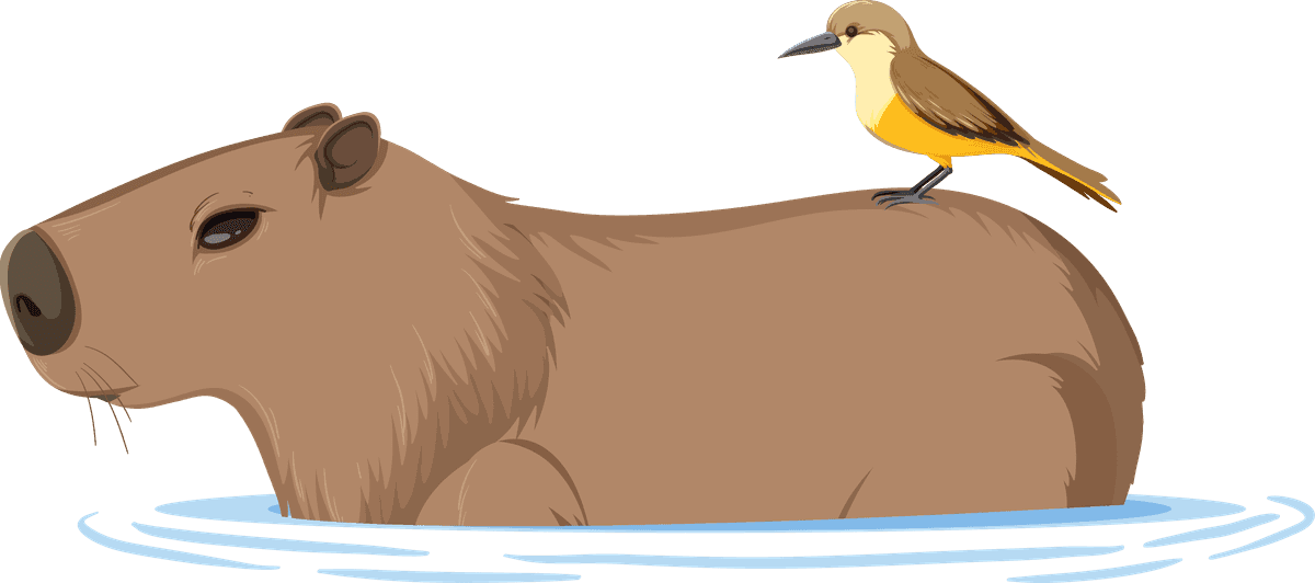 free different capybara in cartoon style vector 798070