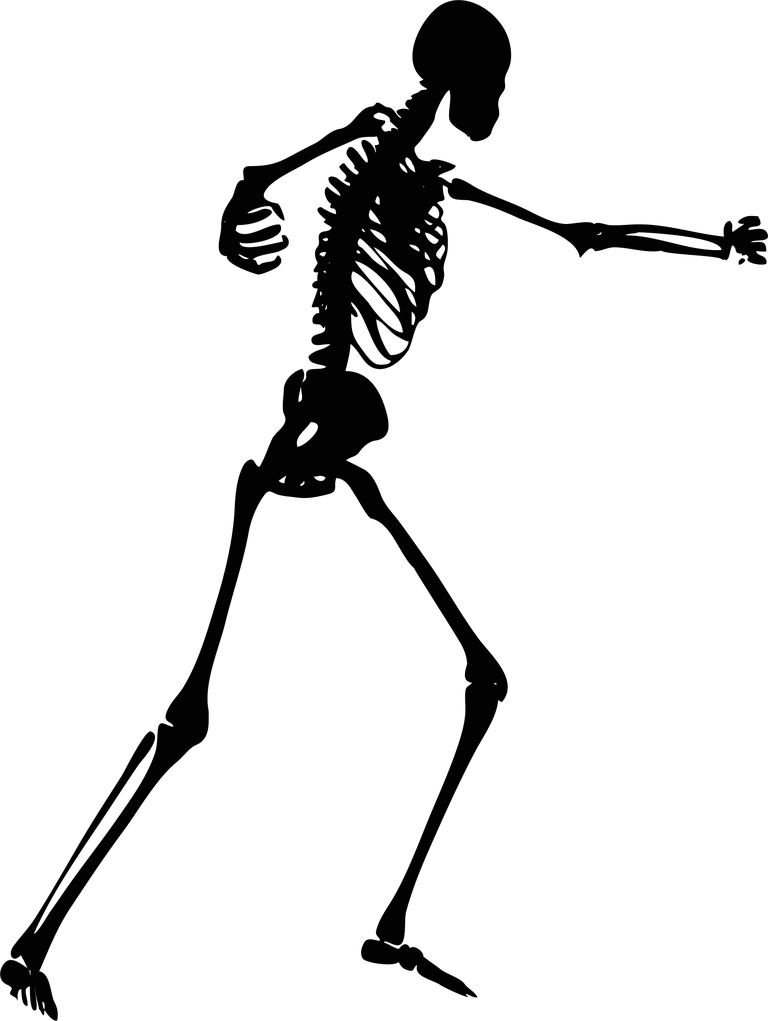 free skeleton human skeletons set vector... | Magipik Free Vector