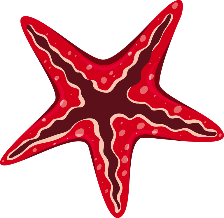 free starfish different types of seashells on vector 19628