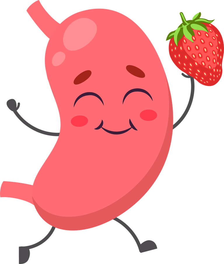 free stomach set cute funny stomach character vector 740662