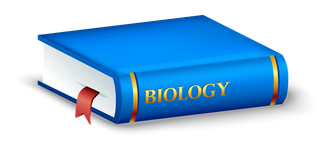 Explore informative symbols free vector ...