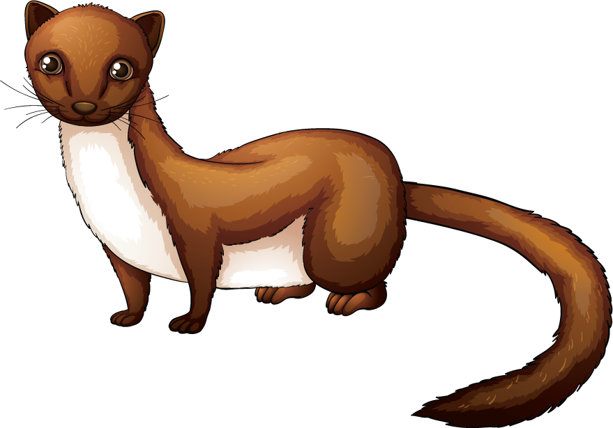 tod isolated picture wild animals in a p... | Magipik Free Vector