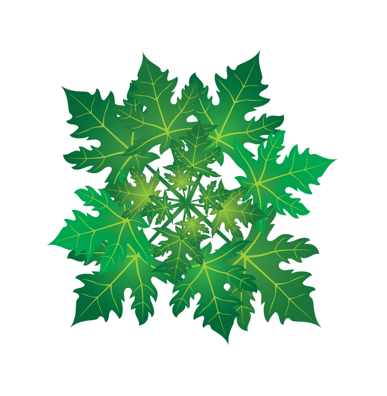 free Tree with top view design vector 729861