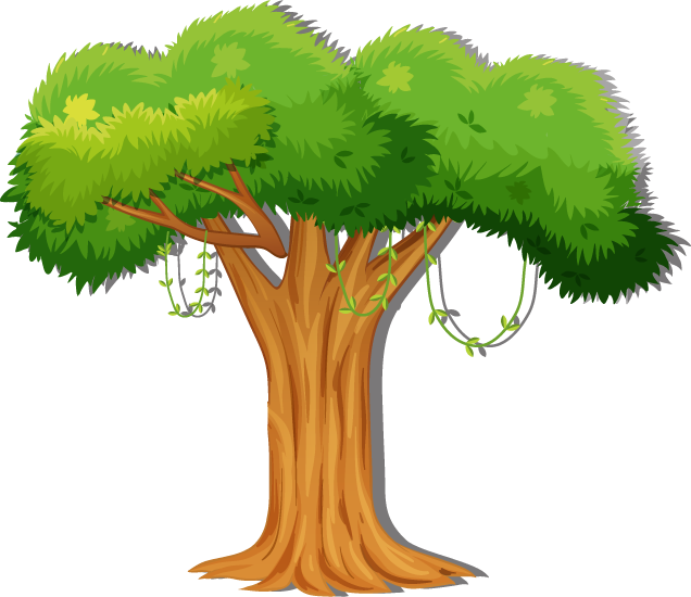 variety trees transparent background for... | Magipik Free Vector