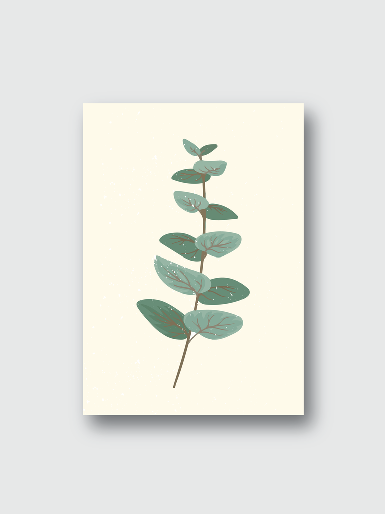Explore eucalyptus free vector images, eucalyptus vector art